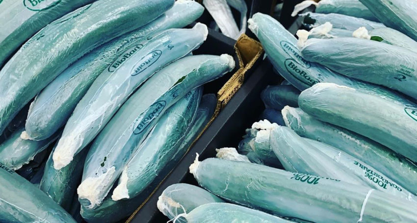 SA develops fully compostable shrink-wrap for cucumbers - ProPack